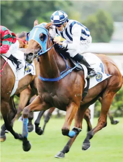 Reputation­s Are On The Line At Sha Tin Pressreader