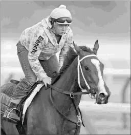 Danner begins training career - PressReader