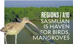 SASMUAN IS HAVEN FOR BIRDS, MANGROVES - PressReader