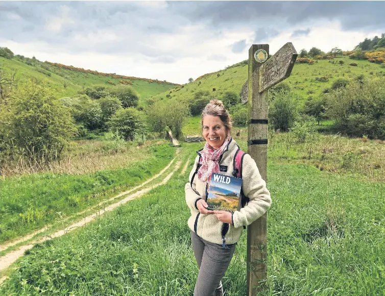 Wayfinder off beaten track - PressReader