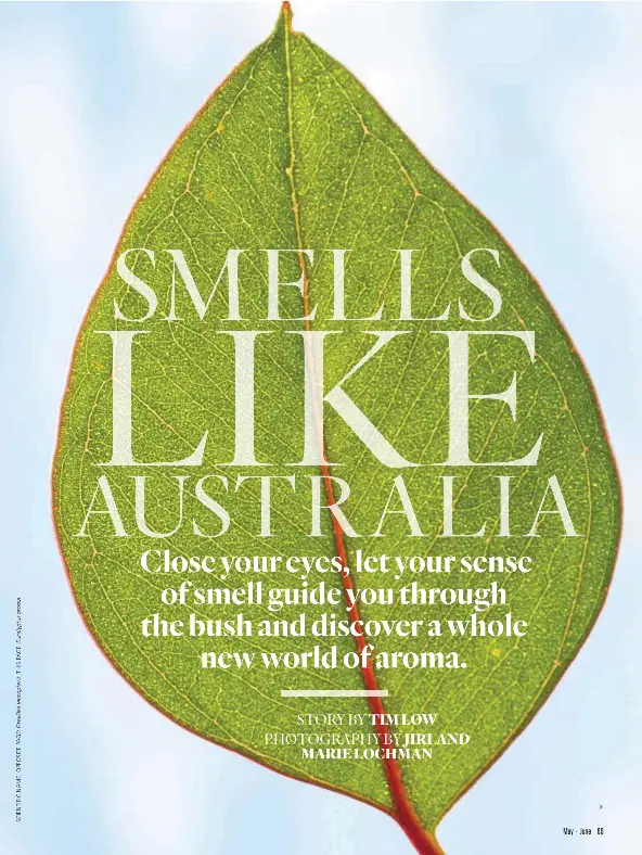 Smells like Australia - PressReader