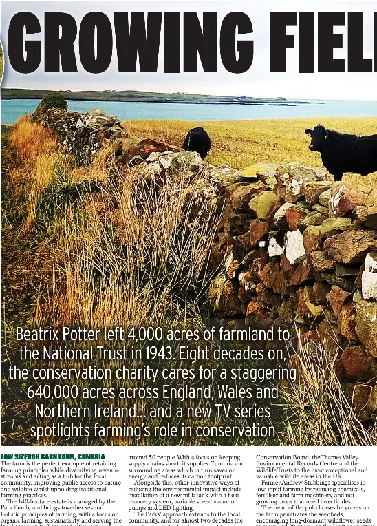 GROWING FIELDS OF DREAMS - PressReader