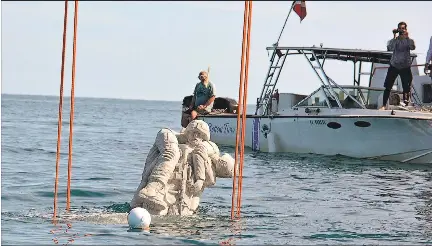 Un arrecife para cada buceador en Florida - PressReader