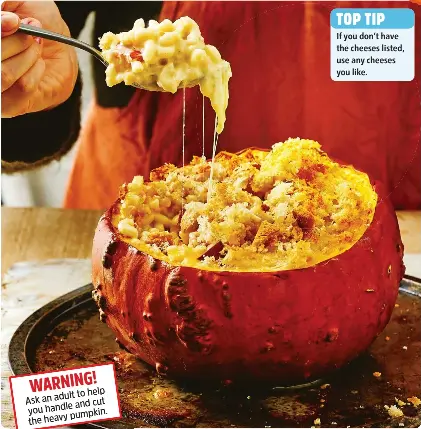 Make pumpkin macaroni cheese - PressReader