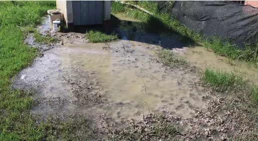 Transit Camp and Extension 8 residents tired of sewage spills - PressReader