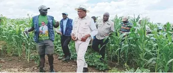 First Family’s Pricabe Farm inspires Hwange farmer - PressReader