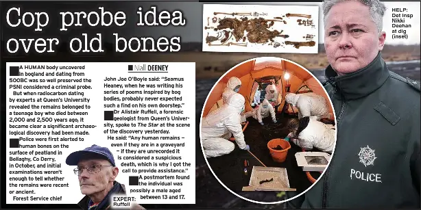 Davro has stroke after live show - PressReader