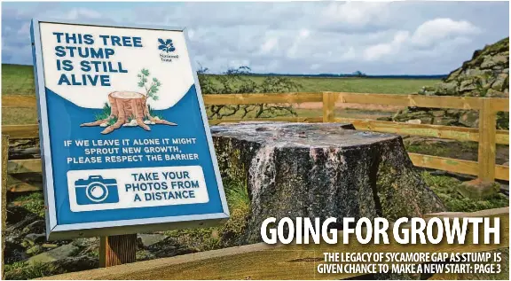 GOING FOR GROWTH - PressReader