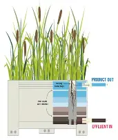 Engineered wetlands treat our water the natural way - PressReader