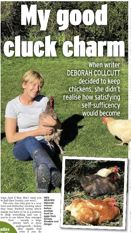 ‘The Ladies all lay in the same spot, which they choose and discuss ...