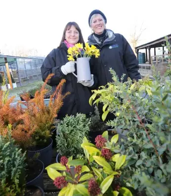 GARDEN VARIETY - PressReader