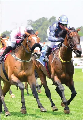 Tarry is flying high - PressReader