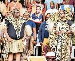 Prime minister ‘interferin­g’ in Ingonyama Trust - PressReader