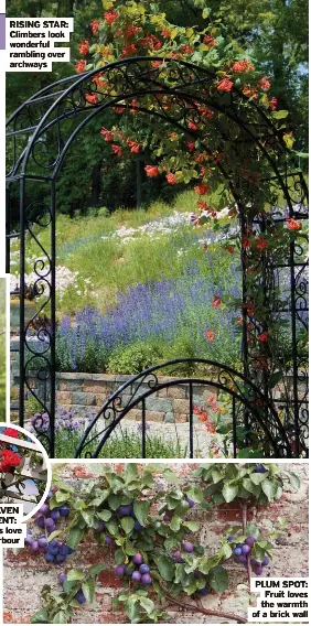 HIGH AND MIGHTY - PressReader