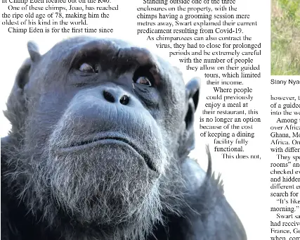 Support local sanctuary CHIMP EDEN - PressReader