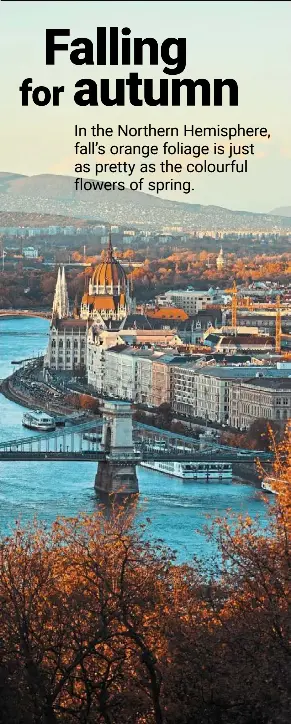 Falling autumn for - PressReader