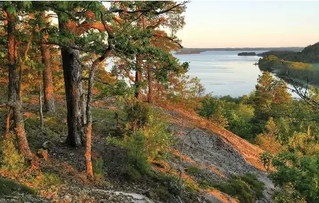 Man ska inte underskatt­a naturens lugnande kraft - PressReader