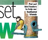 Ready, set GROW - PressReader