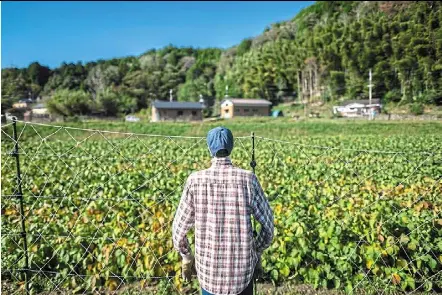 The lone child of Ichinono - PressReader