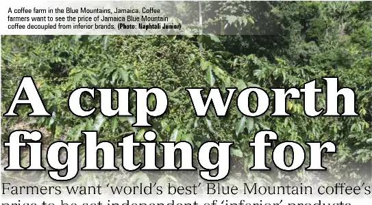 A cup worth fighting for - PressReader