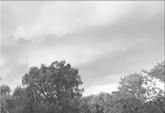 After the storm… - PressReader