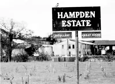 Hampden’s rum establishi­ng foothold in European market - PressReader