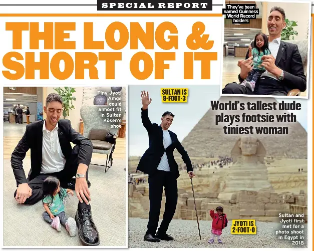 THE LONG & SHORT OF IT - PressReader