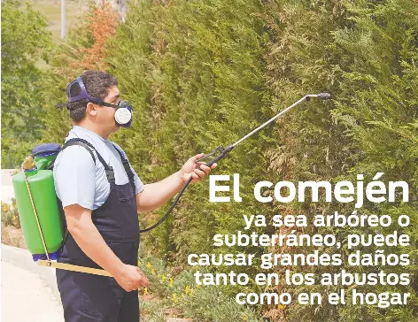 El comején - PressReader