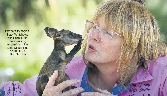 Animals’ post-fire rescue - PressReader