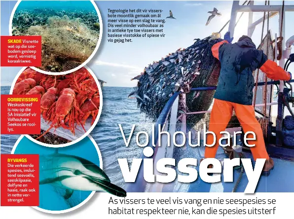 Volhoubare vissery - PressReader