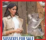 SUSSEXES FOR SALE - PressReader