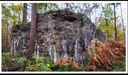 A BITTER PILL - PressReader