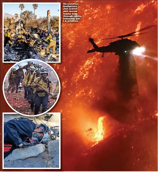 British child star is among LA fire dead - PressReader