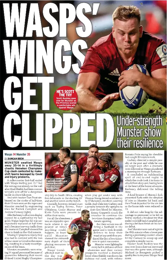 WASPS’ WINGS GET CLIPPED - PressReader