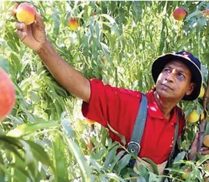 Pacific Engagement Visa ballot nd opens for registrati­on - PressReader