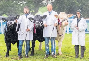 Great weather for ducks but rain stymies parade - PressReader