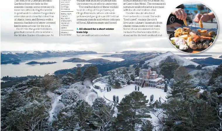 9 THINGS TO DO IN DUNEDIN this winter - PressReader