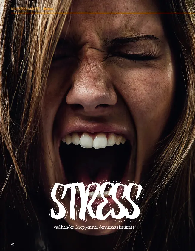 Fakta om stress - PressReader