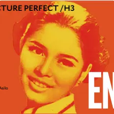 PICTURE PERFECT - PressReader