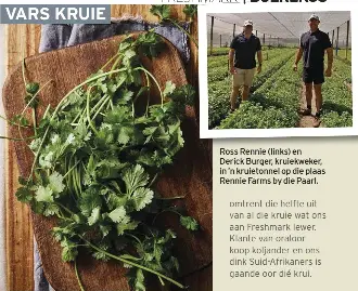 ROSS RENNIE KRUIEBOER - PressReader