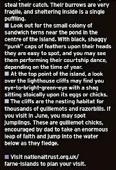 TAKE A WALK ON THE WILD SIDE - PressReader