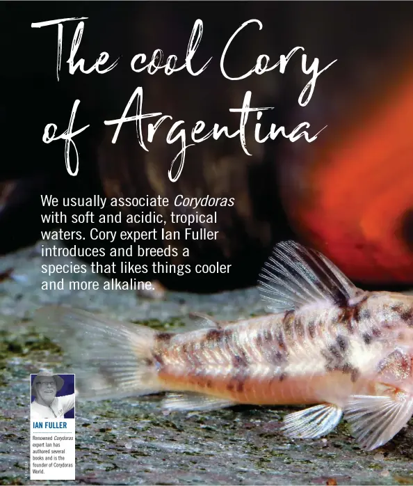 THE COOL CORY OF ARGENTINA - PressReader