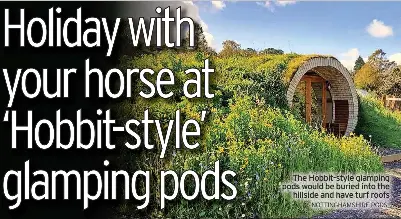 Holiday with your horse at ‘Hobbit-style’ glamping pods - PressReader