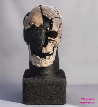 An ancient life revealed: Foragertur­ned-farmer crossed seas - PressReader