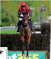 Cobden-Nicholls combinatio­n lands treble at Newton Abbot - PressReader