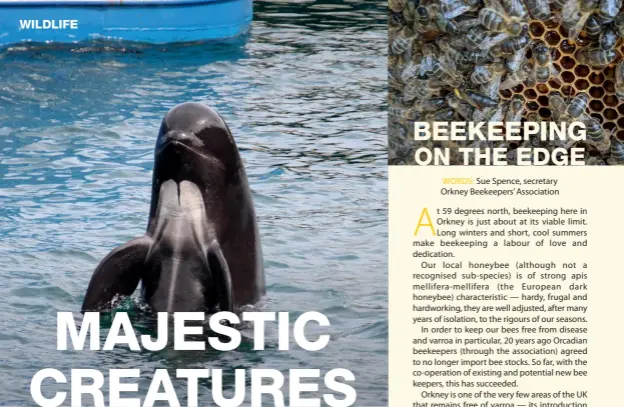 MAJESTIC CREATURES - PressReader