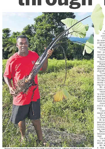 Joseva’s journey through farming - PressReader