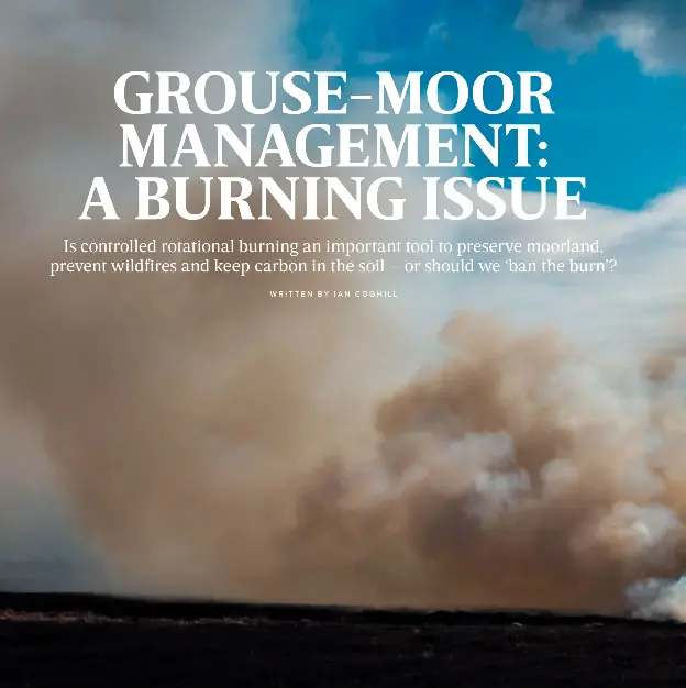 Grouse-moor management: a burning issue - PressReader