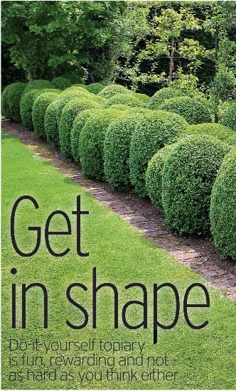 IN THE Get in shape - PressReader