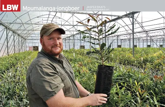 Mpumalanga se topjongboe­r: Met vinger op pols droom makadamiab­oer groot - PressReader